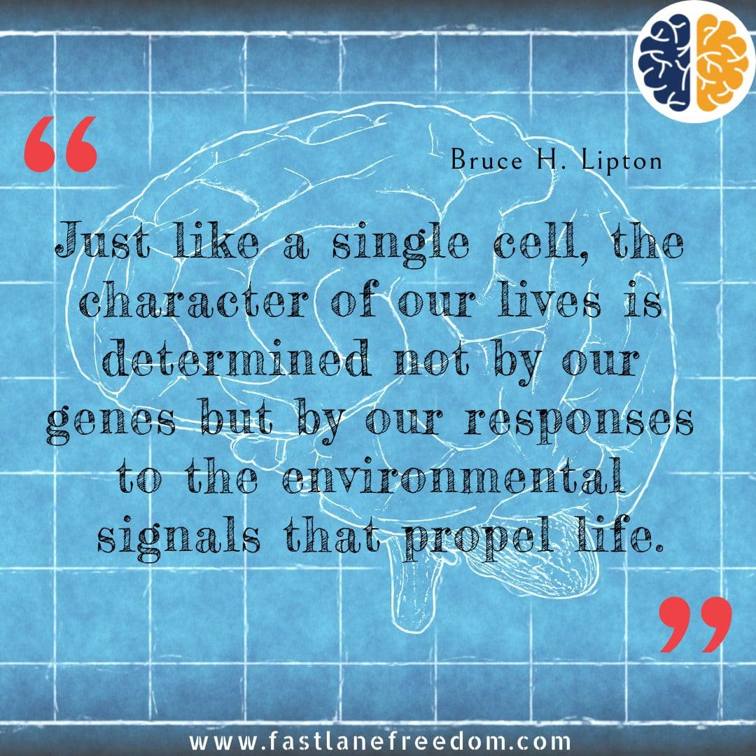 10 Best Bruce H. Lipton Quotes on Beliefs, Perception, Harmony, and Life
