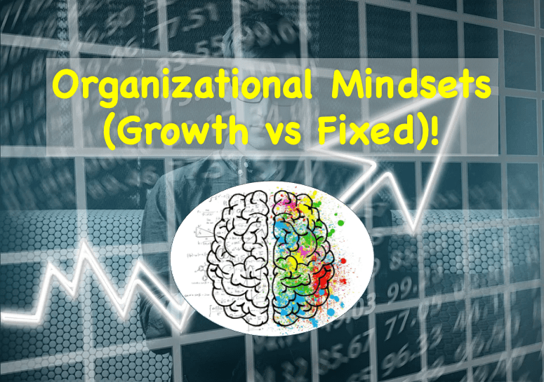 Organizational Mindsets (Growth vs Fixed)! - Which one is better?